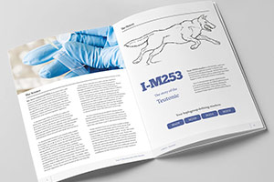 Male-Ancestry-DNA-Booklet.jpg | DNA Worldwide